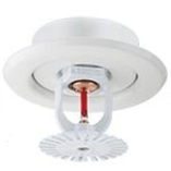 48 in. x 8 ft. Circular Reinforced Concrete Pipe with Gasket | Winsupply