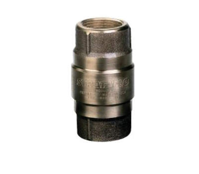 300 Series 1 in. FNPT x FNPT Cast Brass Check Valve | Winsupply