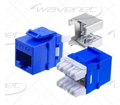 Cat 6 UTP Keystone Jack, Blue, Pack of 25 | Winsupply