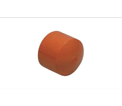 BlazeMaster 3/4 in. Slip Orange CPVC Cap | Winsupply