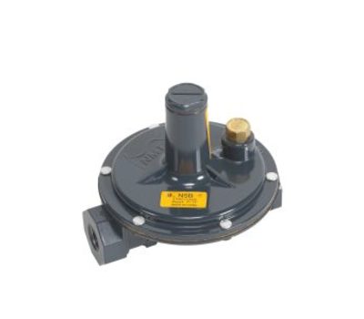 3/4 in. NPT Aluminum Gas Regulator | Winsupply