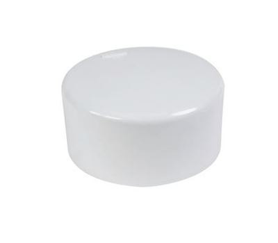 4 in. PVC Sewer Drain Cap | Winsupply