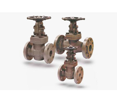 Cameron 3/4 in. Socket Welded x Socket Welded Forged Carbon Steel Globe ...