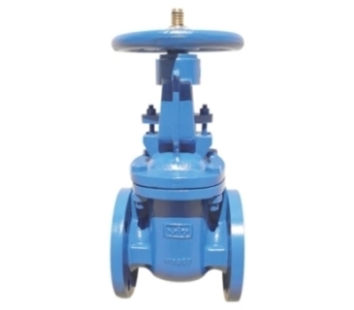421 Series 3 in. Flanged x Flanged Cast Iron Class 125 Gate Valve ...