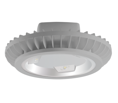 HAYBAY 120 to 277 V 78 W LED Hazardous High Bay Fixture, Gray | Winsupply