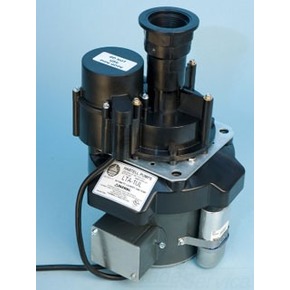 115 V 1/8 HP Automatic Sink Drain Laundry Pump | Winsupply