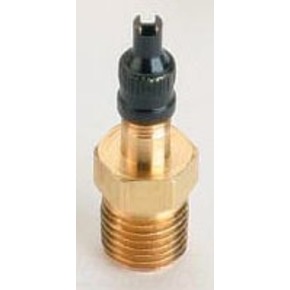 1/4 in. Brass Snifter Valve | Winsupply