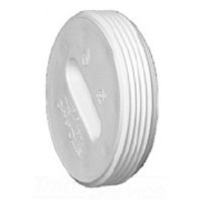 2 in. Male PVC DWV Flush Cleanout Plug | Winsupply