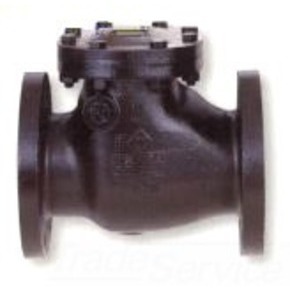 G-931 Model 4 in. Flanged x Flanged 125 PSI Cast Iron Swing Check Valve ...