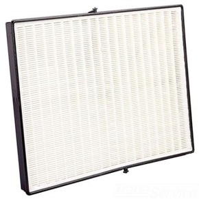 Replacement HEPA Filter for GSHH3K, GSEH3K and GSFH1K and GSVH1K ...