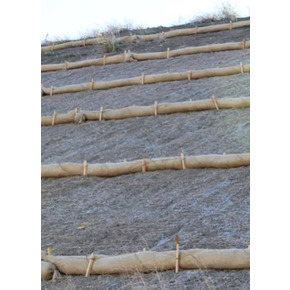 8 in. x 25 ft. Burlap Biodegradable Rice Straw Wattle | Winsupply