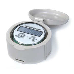 TRuRead 9/32 in. LCD Remote Display for Hersey Translator Registers | Winsupply